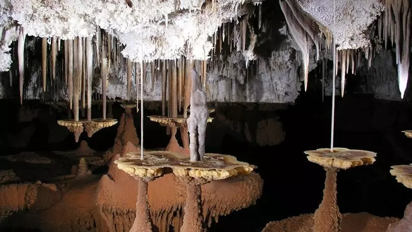 Und dies sind Schlachthäuschen der Calciumcover, die an den Ufern von Wasserläufen und Wasserkörpern angrenzt