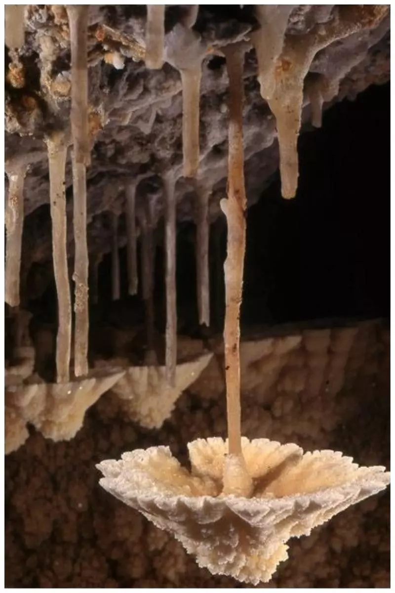 Schwitzendauer Schönheit: Stalagmiten und Stalaktiten mögen ein Märchen