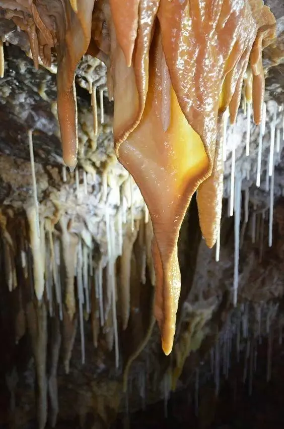 Schwitzendauer Schönheit: Stalagmiten und Stalaktiten mögen ein Märchen 705_3