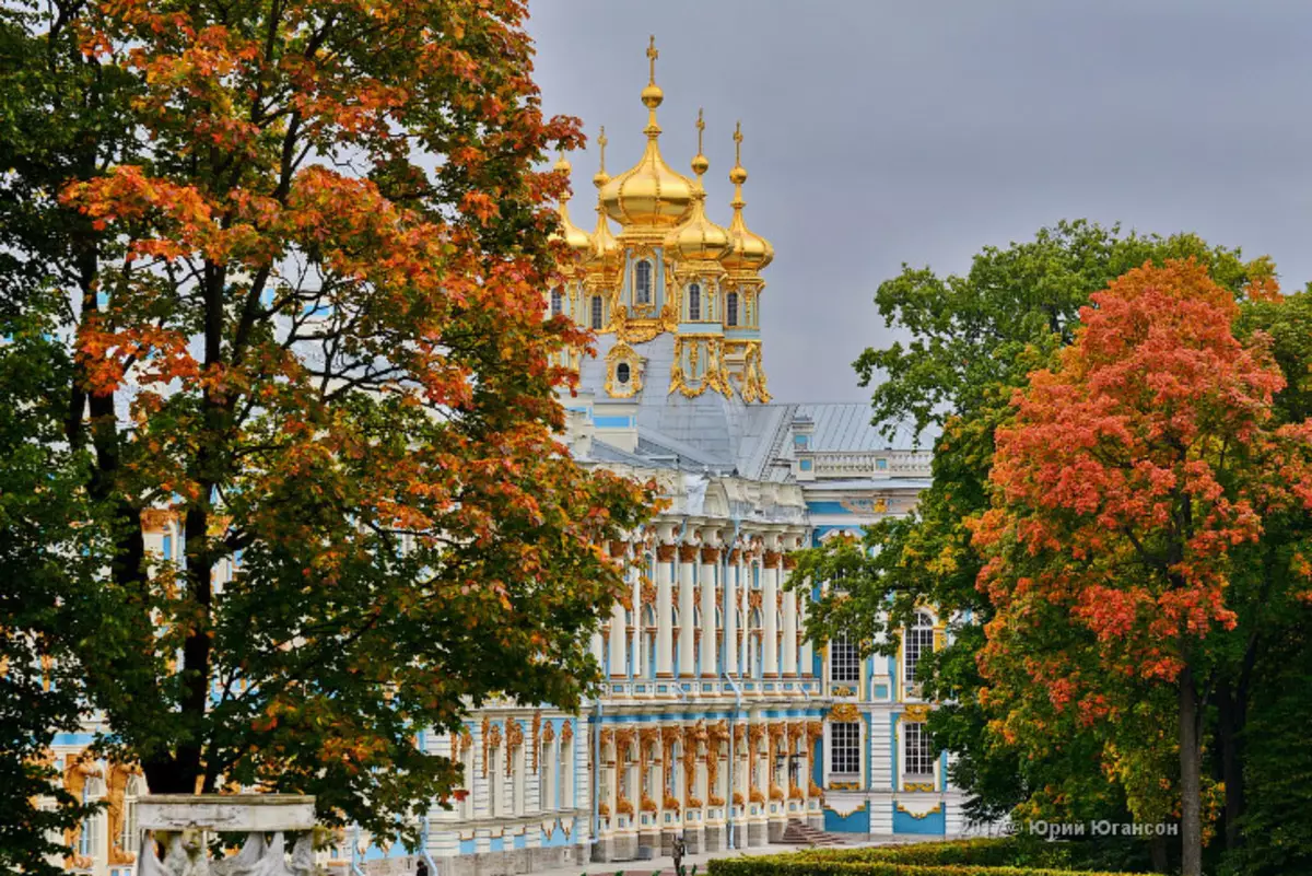 Autumn 2017 di gundê Royal ji wênekêşê Yuri Yuhanson 7120_1