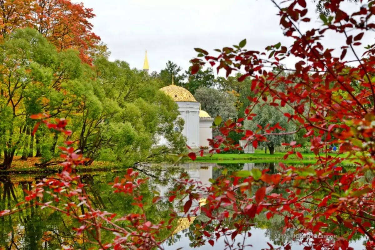 Autumn 2017 di gundê Royal ji wênekêşê Yuri Yuhanson 7120_12