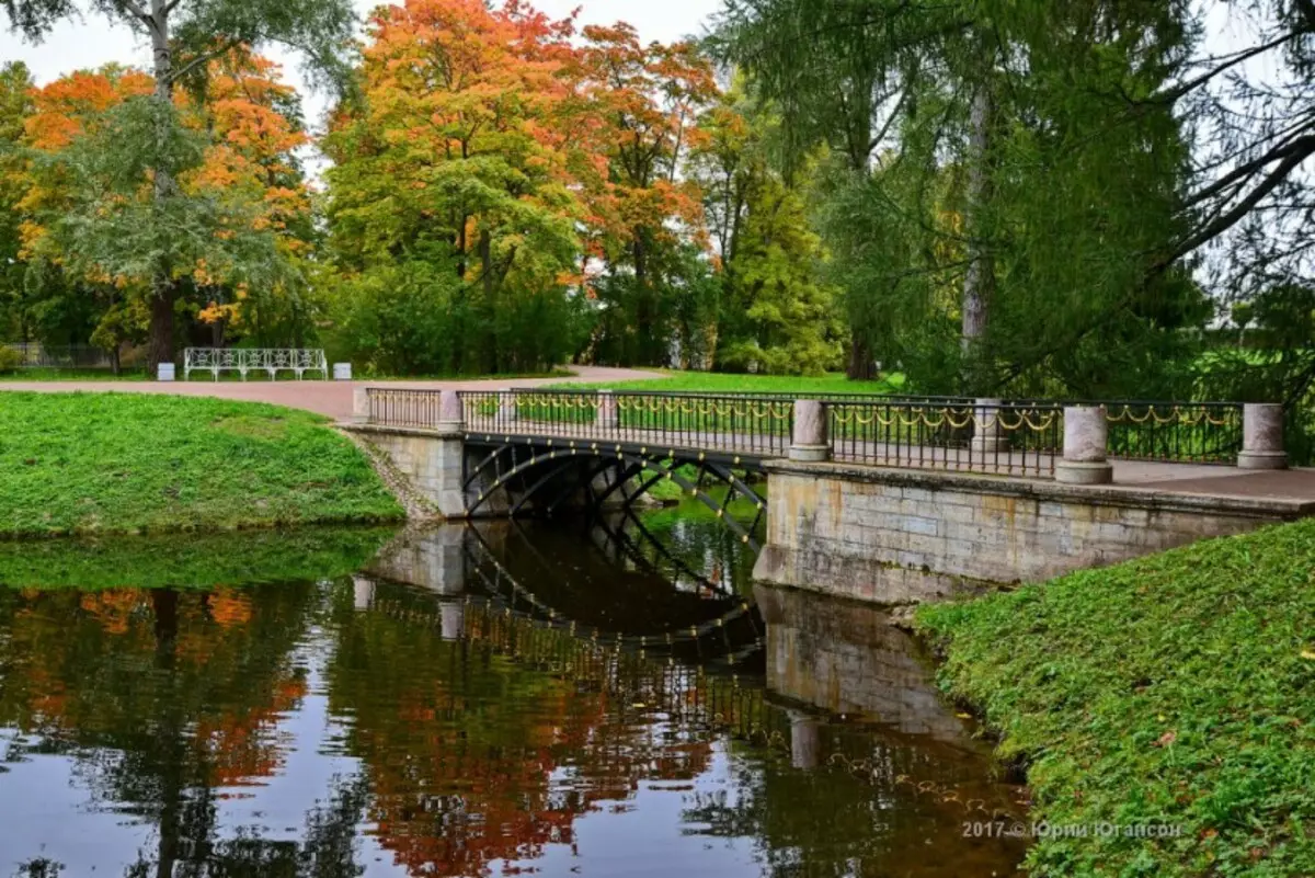 Есен 2017 година во кралското село од фотографот Јуриј Јухансон 7120_8