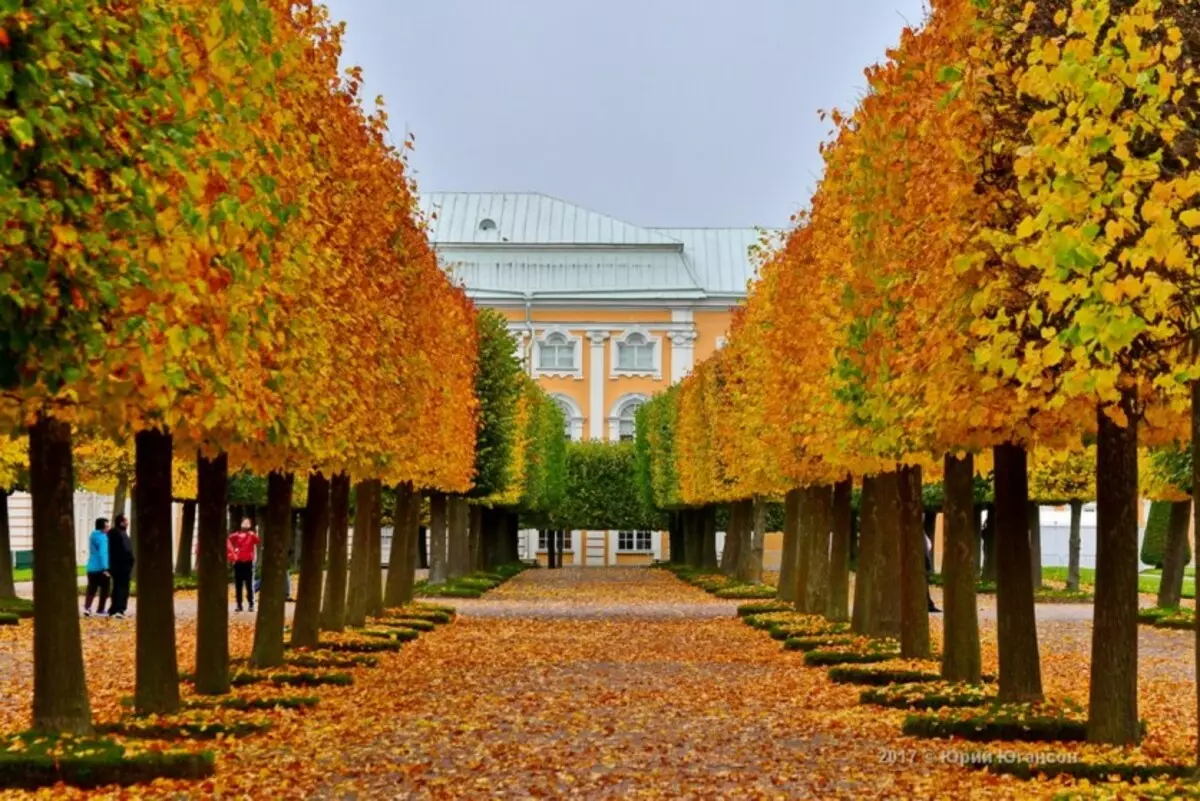 Udazkeneko Peterhof Argazkietan Yuri Yuhanson 7212_1