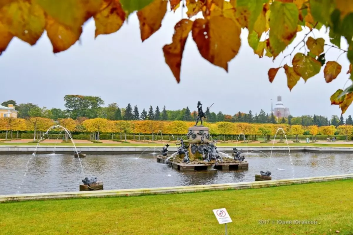 Udazkeneko Peterhof Argazkietan Yuri Yuhanson 7212_10