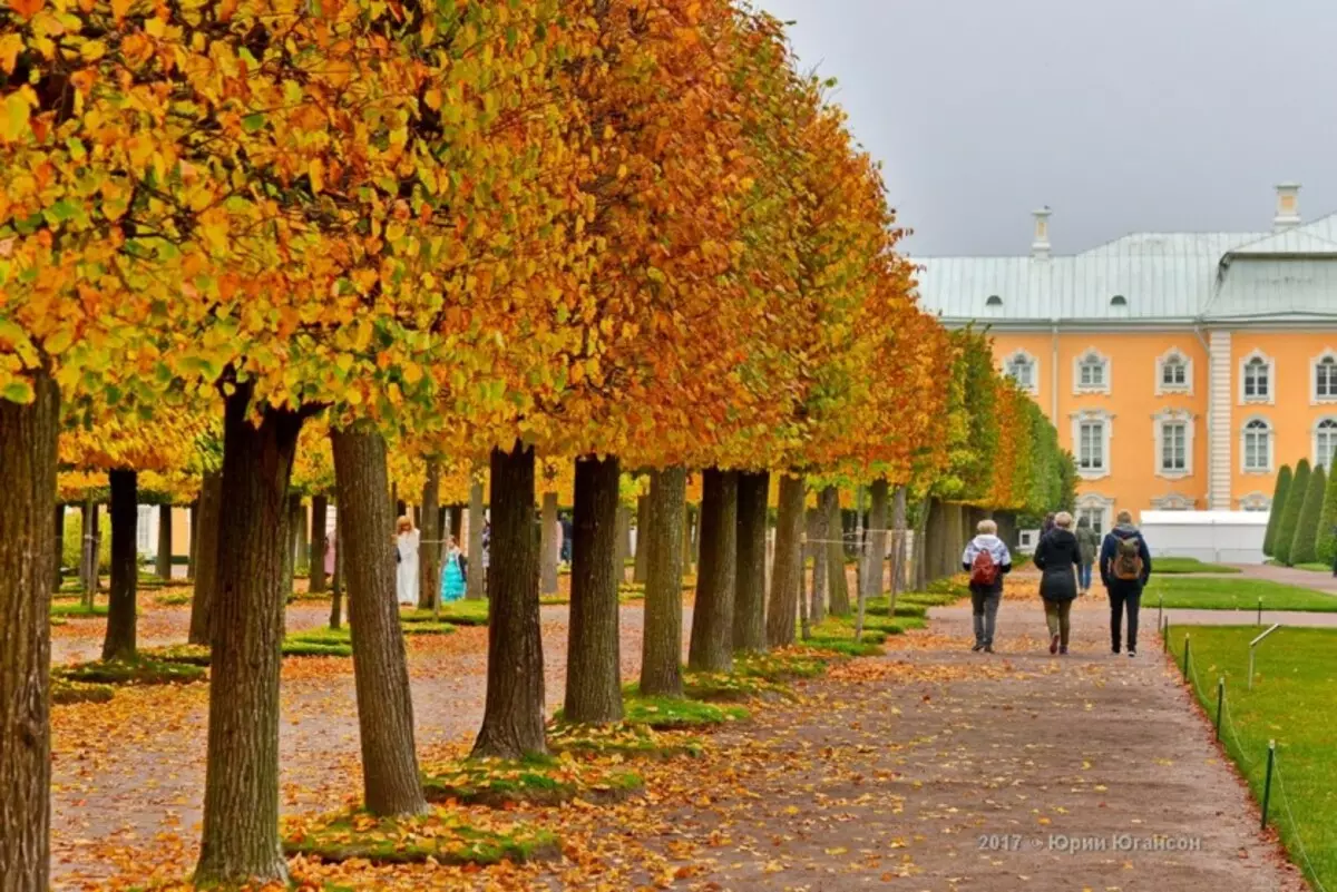 Udazkeneko Peterhof Argazkietan Yuri Yuhanson 7212_14