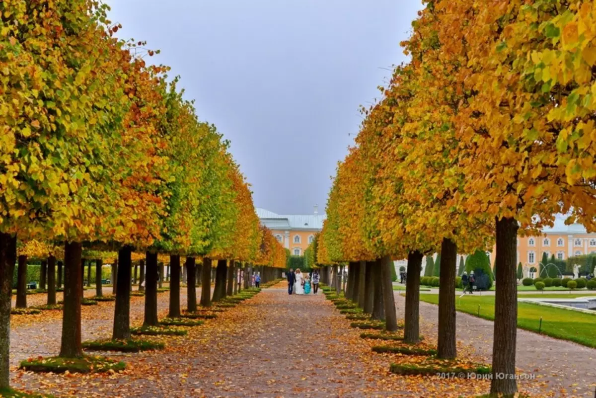 Udazkeneko Peterhof Argazkietan Yuri Yuhanson 7212_6