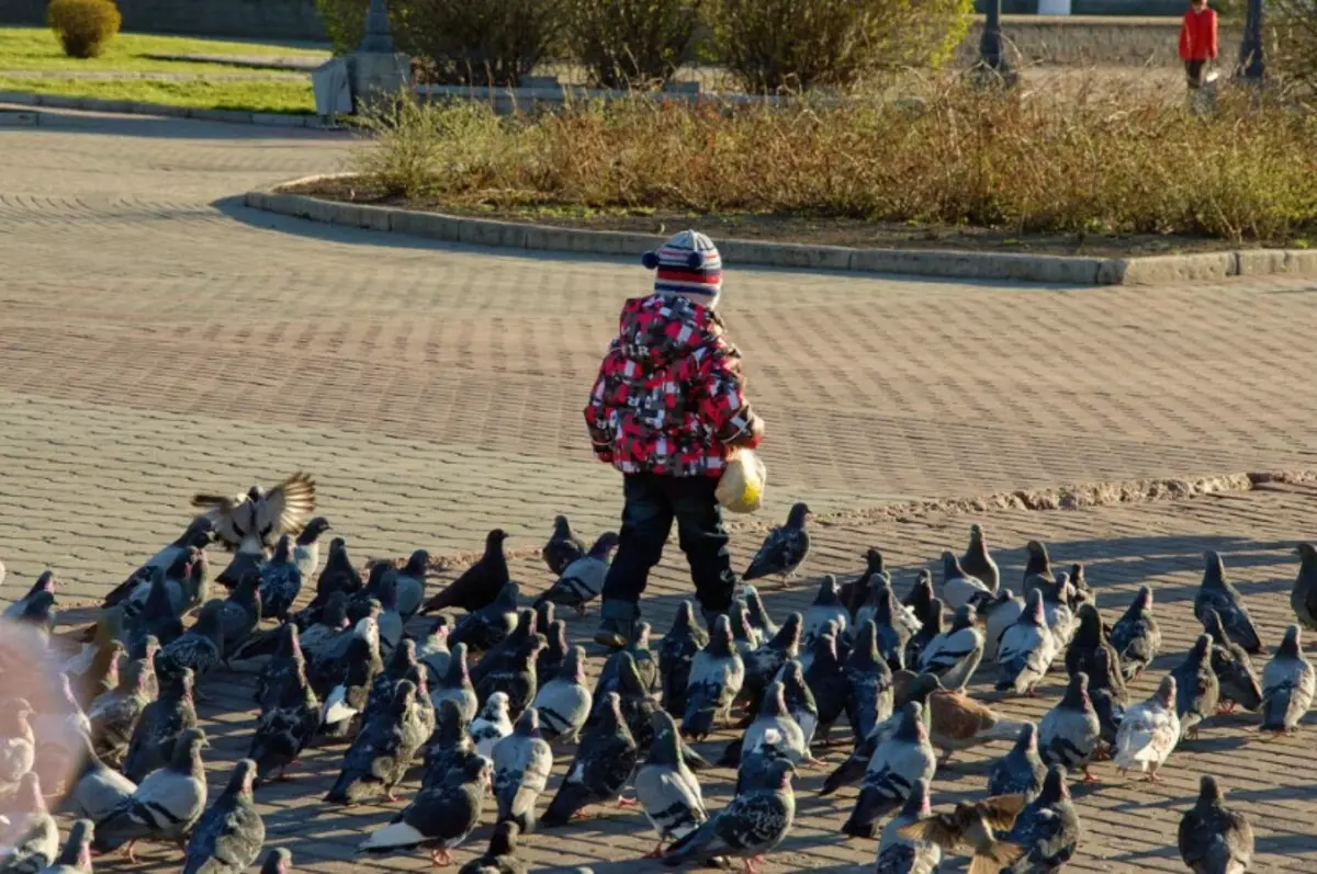 Høststemning av fotografen Vladislav Fefelova 7288_7