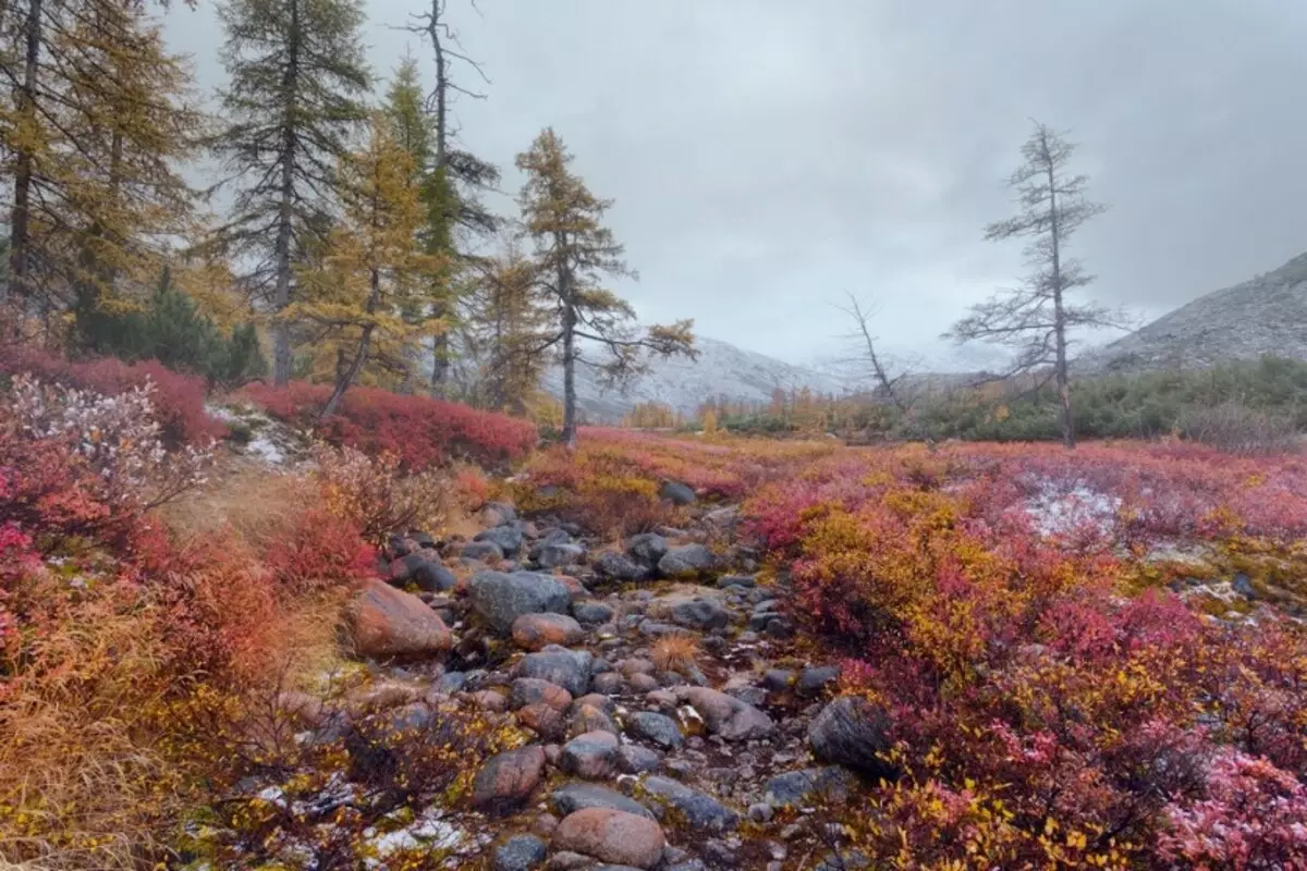 Herfs Kolyma in die landskapfoto's van Tony Andreva 7317_9