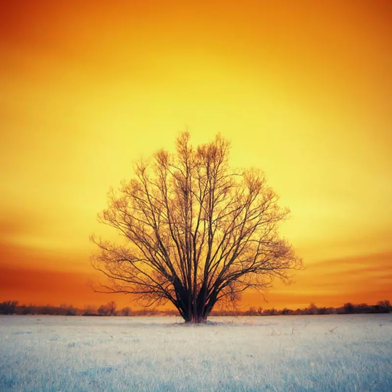 Otroligt atmosfär av inspiration !!! Natur i bilder av Alan Baumgartena (Alain Baumgarten) 7322_1