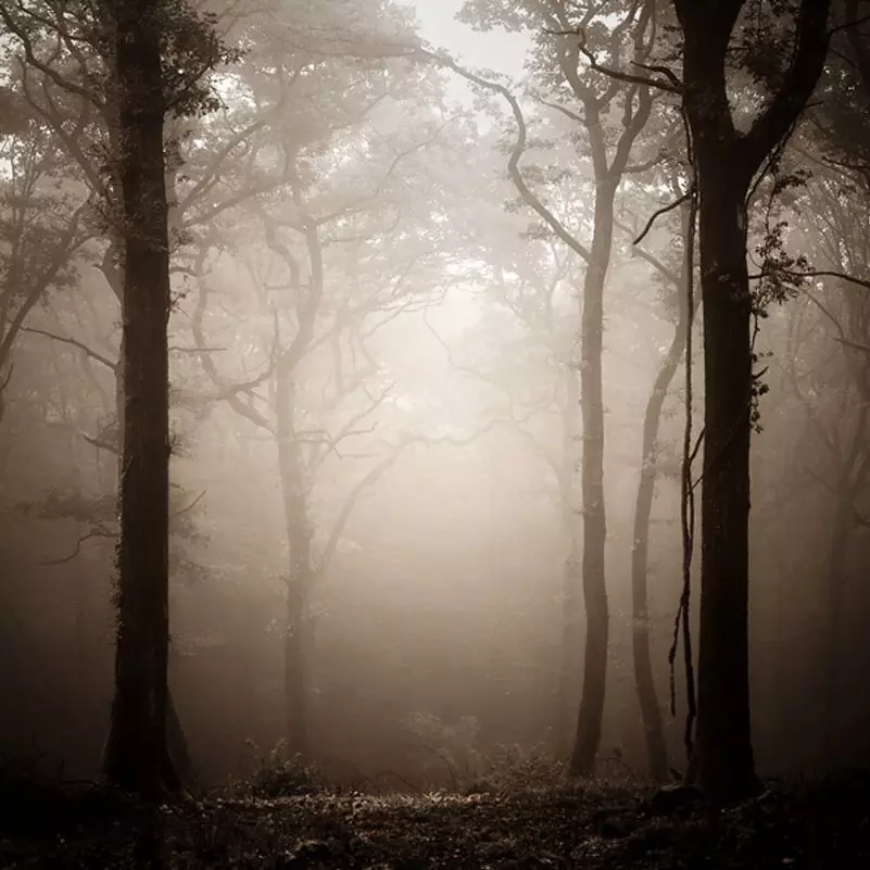 Otroligt atmosfär av inspiration !!! Natur i bilder av Alan Baumgartena (Alain Baumgarten) 7322_3