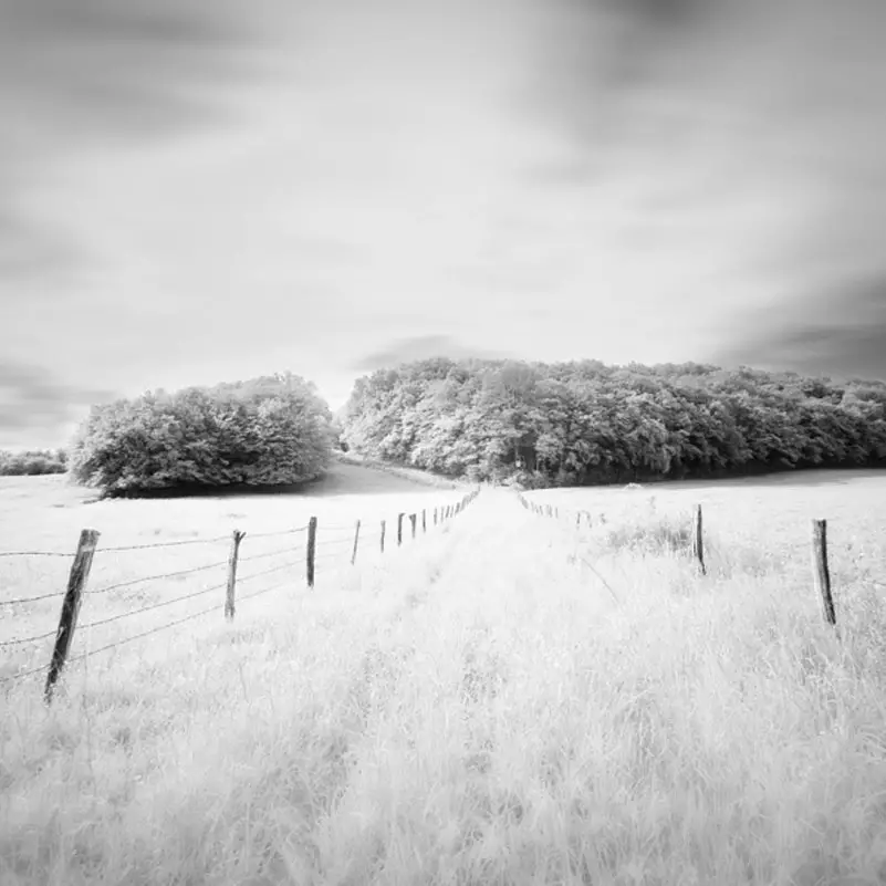 Atmosfera incredibilă de inspirație! Natura în fotografiile lui Alan Baumgartena (Alain Baumgarten) 7322_8