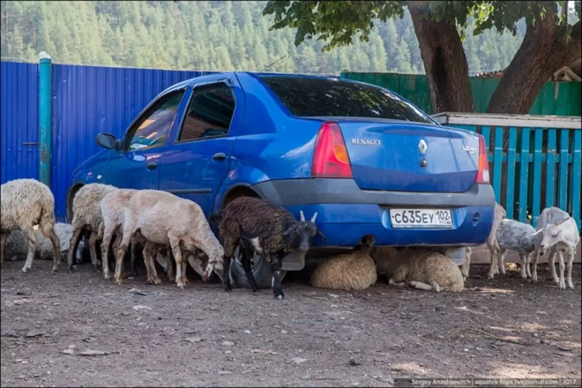 Rusland's schoonheid: Bashkiria in de Lens Sergey Anashkevich 7336_11