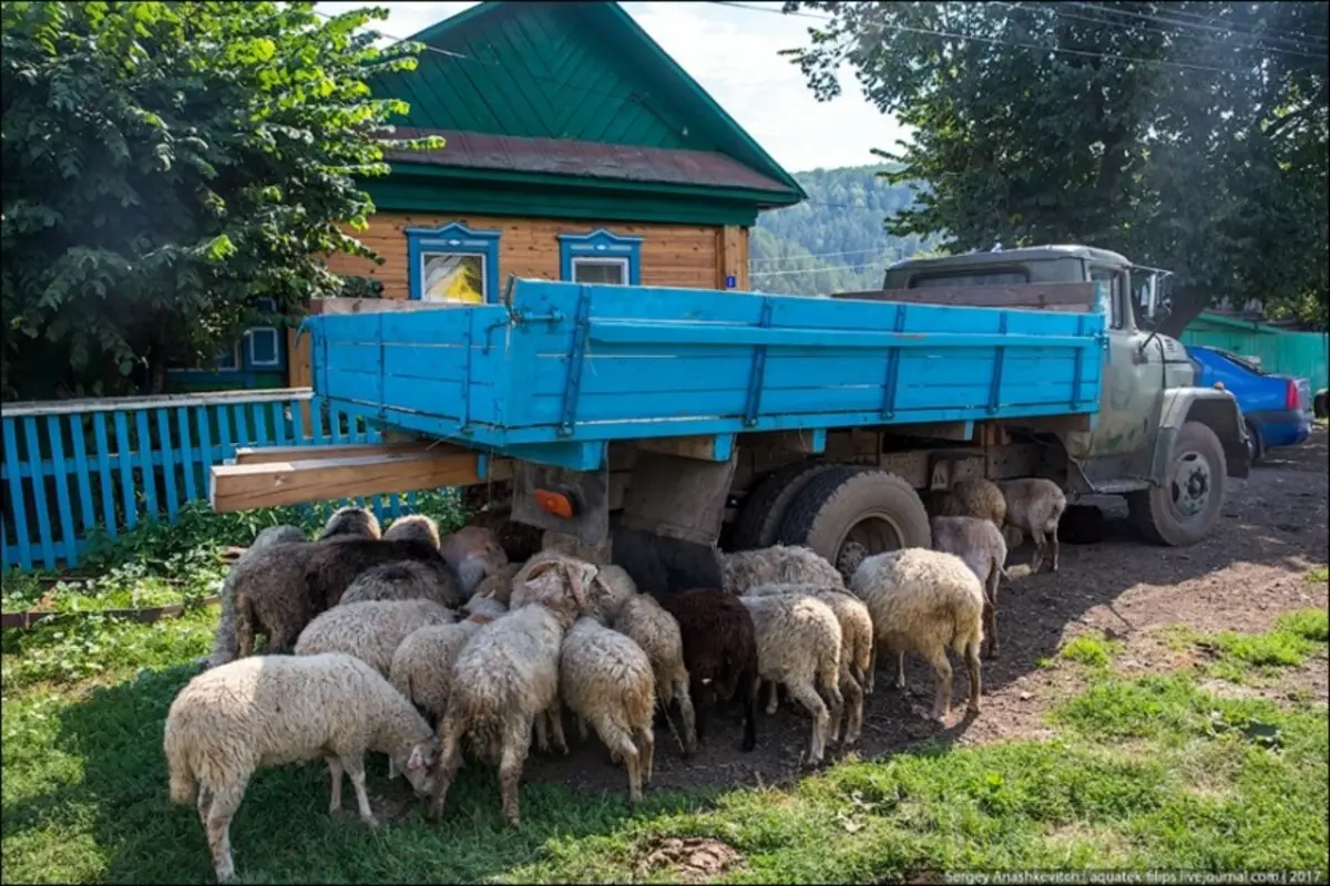 Rusland's schoonheid: Bashkiria in de Lens Sergey Anashkevich 7336_12