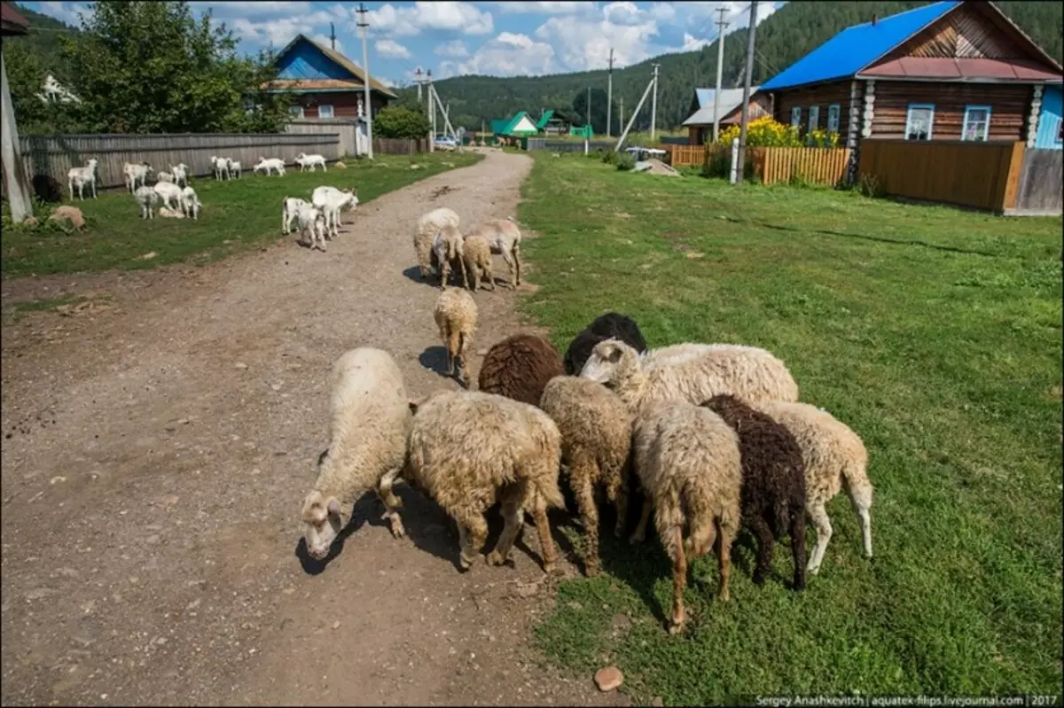 Rusland's schoonheid: Bashkiria in de Lens Sergey Anashkevich 7336_4