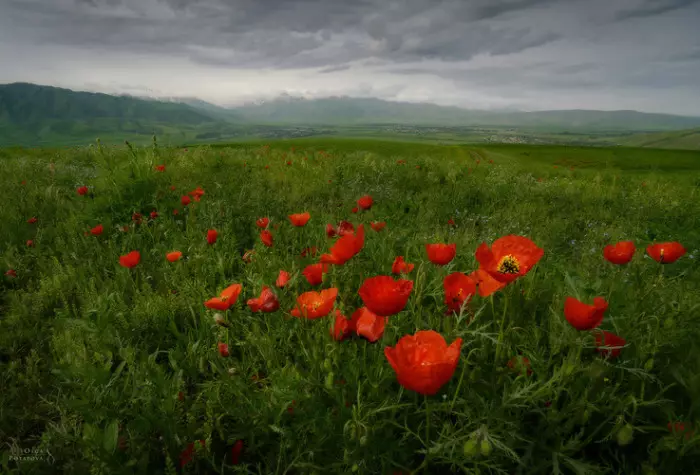 Daga Bitrus zuwa Elrrus: Labarin Fantescape na Hiking Hiking Olga Itanovava 7419_13