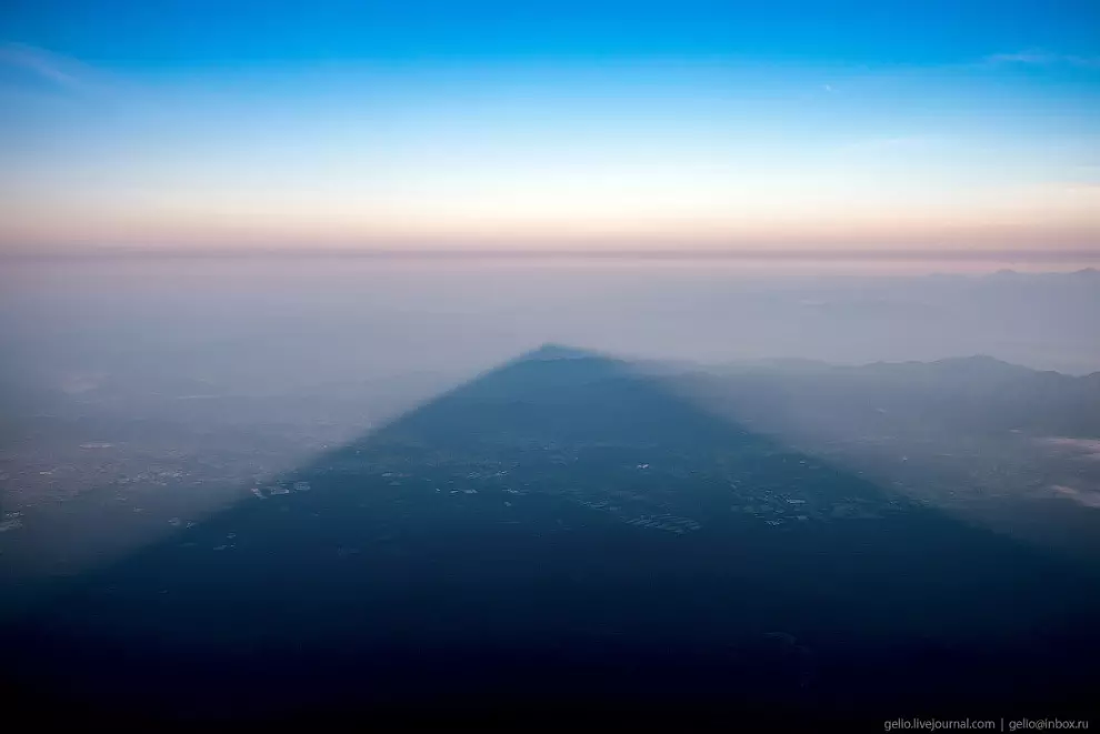 Shadow Fujii dengan topinya