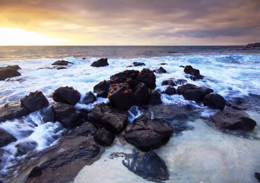 Vincitori Foto Concorso Galapagos Conservazione Concorso Ambiente Concorso 2017 7463_10