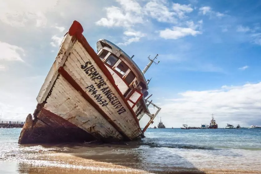 Vítězové fotografie soutěže Galapagos konzervace důvěryhodnosti fotografie soutěž 2017 7463_4