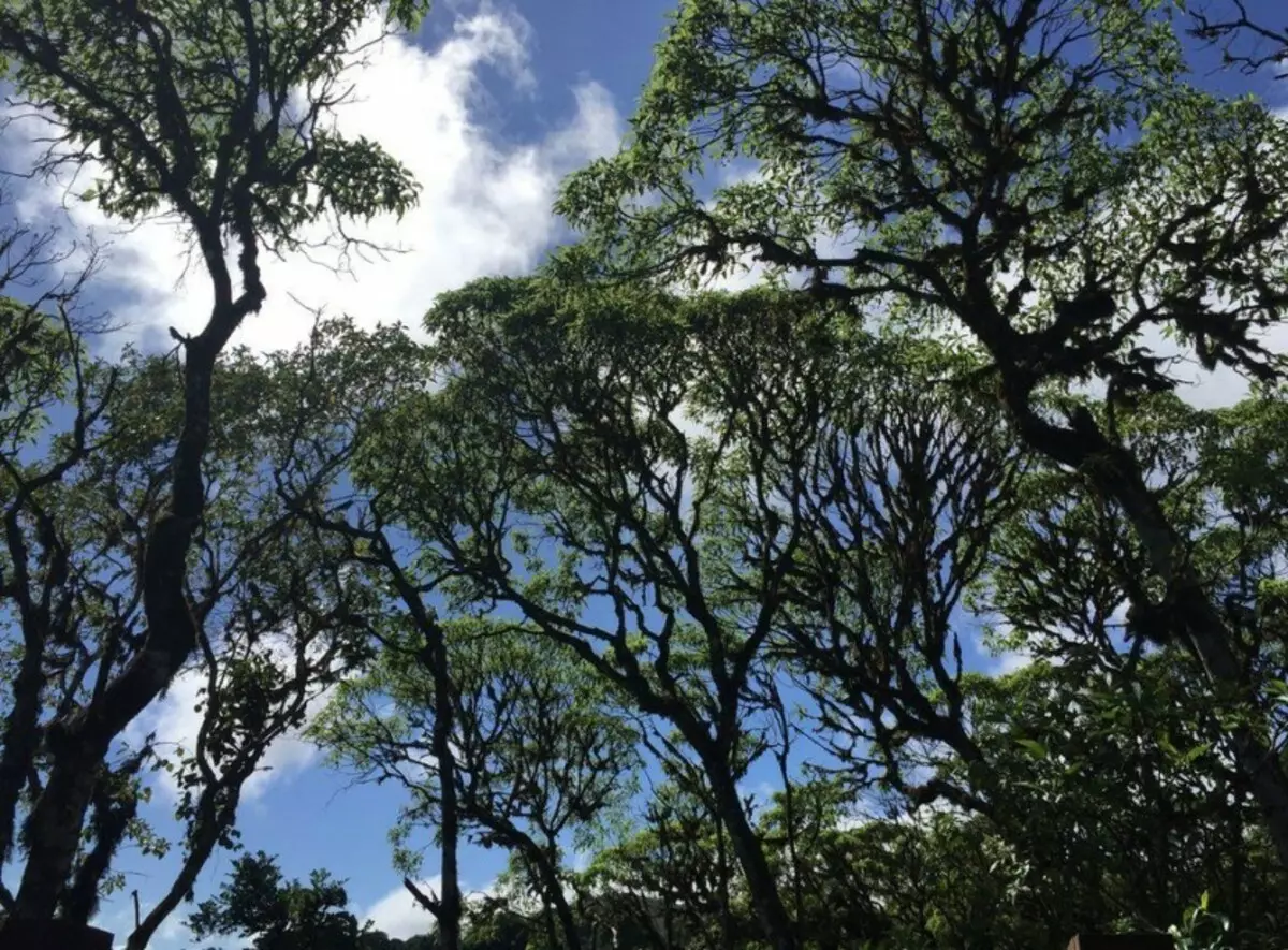 Vincitori Foto Concorso Galapagos Conservazione Concorso Ambiente Concorso 2017 7463_8