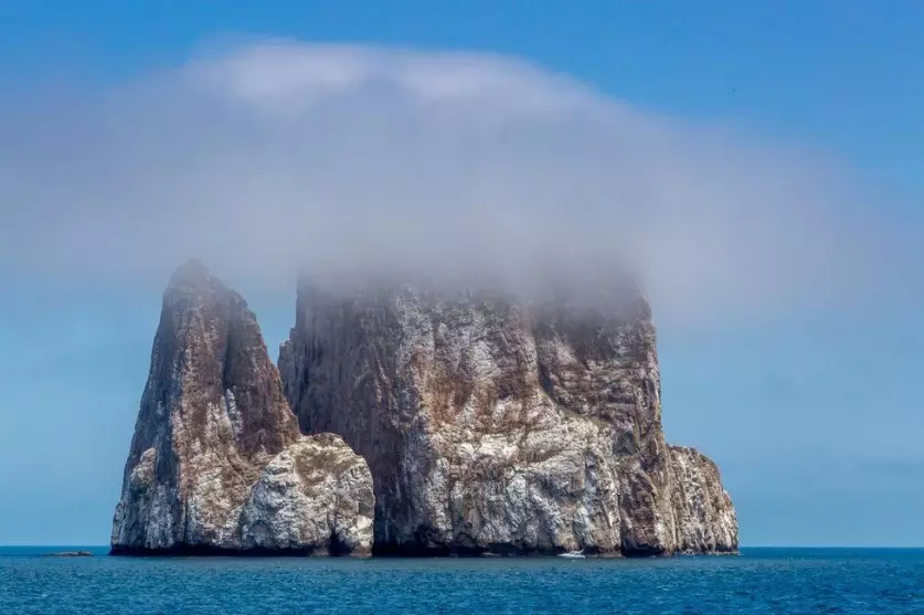 Kazananlar Fotoğraf Yarışması Galapagos Koruma Güveni Fotoğraf Yarışması 2017 7463_9