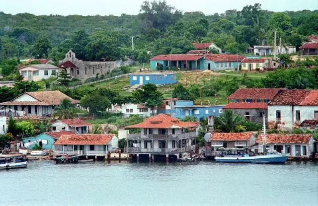 Nolosha caadiga ah ee Cuba sanadkii 1981