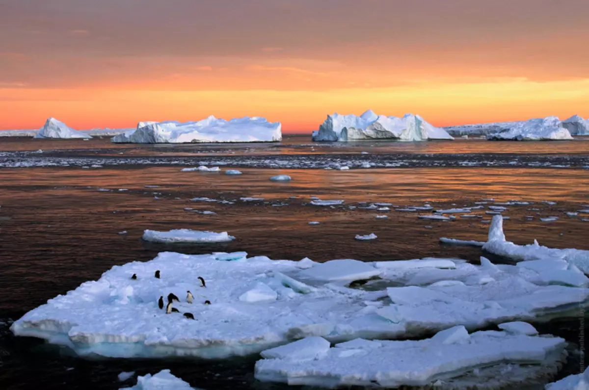 Picha za icebergs na glaciers, ambayo baridi hupiga;) 7528_1