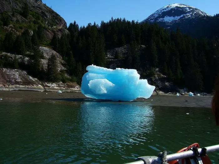 Picha za icebergs na glaciers, ambayo baridi hupiga;) 7528_13