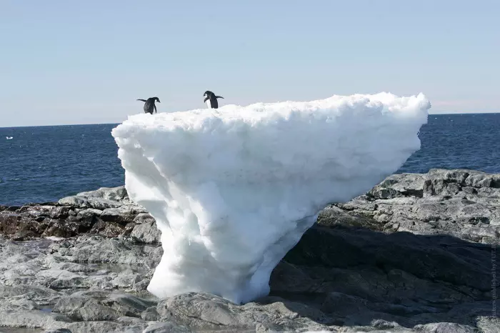 Ata o aisa o aisa ma glaciers, mai le mea e agi ai le malu;) 7528_3