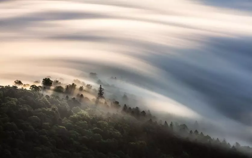 Cele mai bune fotografii ale National Geographic iulie 2017 7577_26