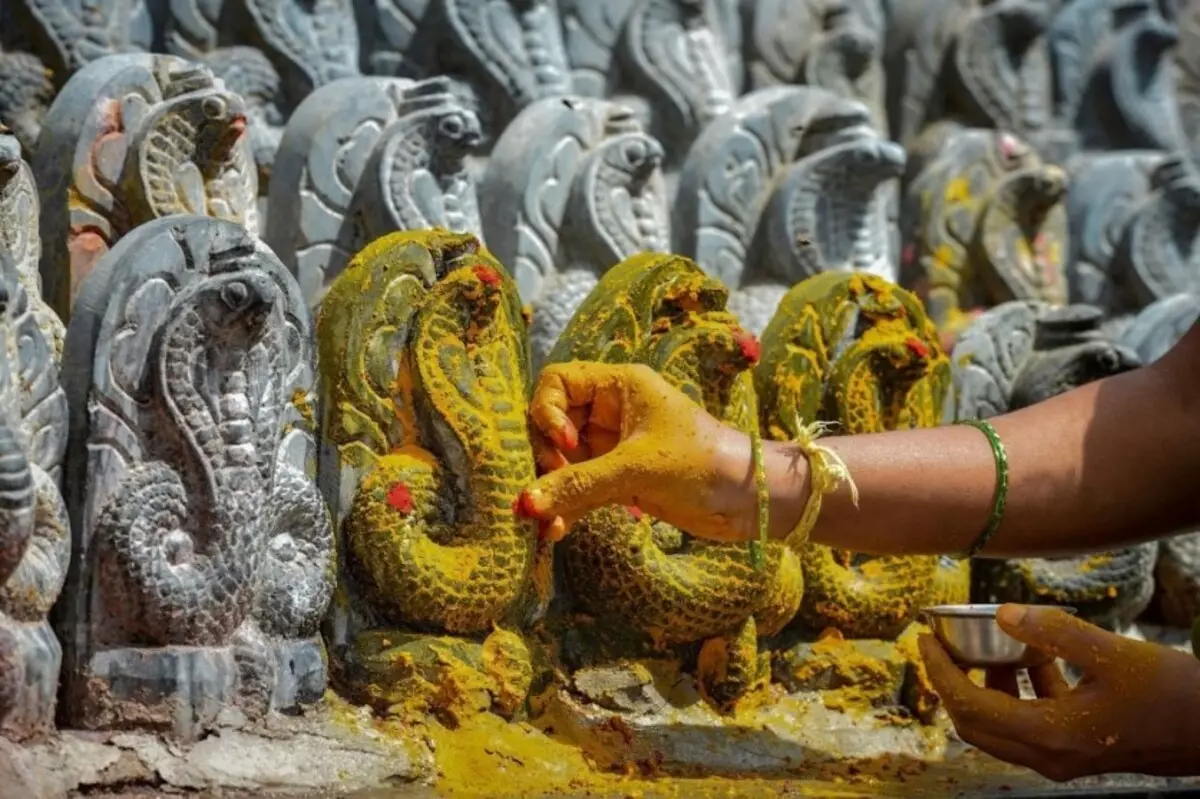 Tontonan anu luar biasa !!! Festival oray Nag Panchami 2017 7598_5