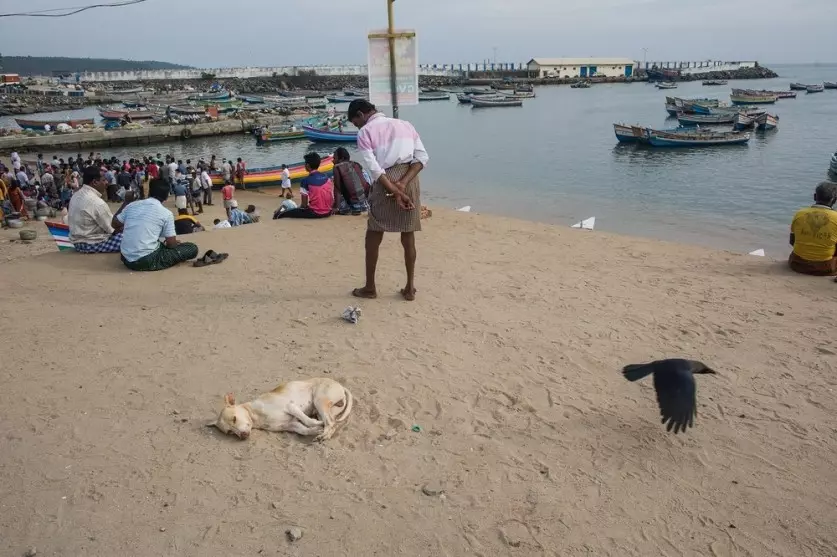 Pueblo de pescadores en la India en las fotos de Alexei Gunkin. 7627_19