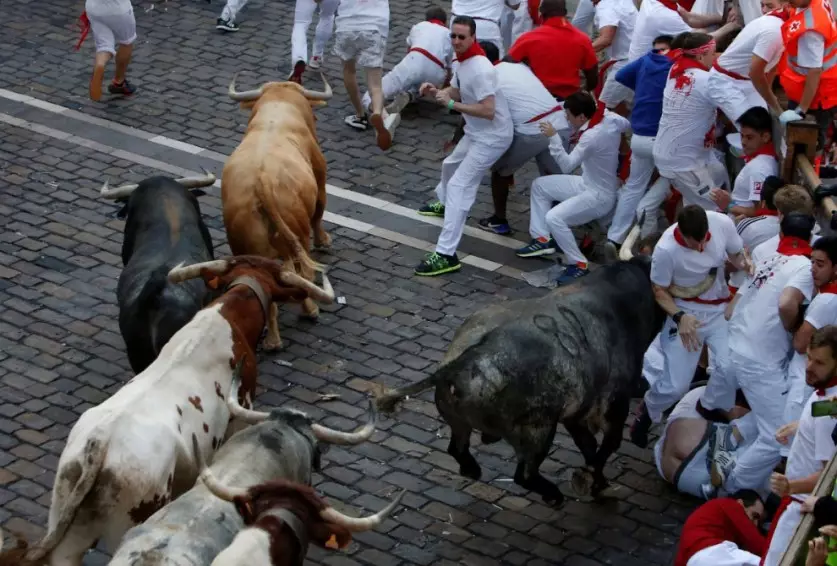 Kwakunjani ukugijima kwezinkunzi ku-Spanish Pamplona 2017;) 7731_16