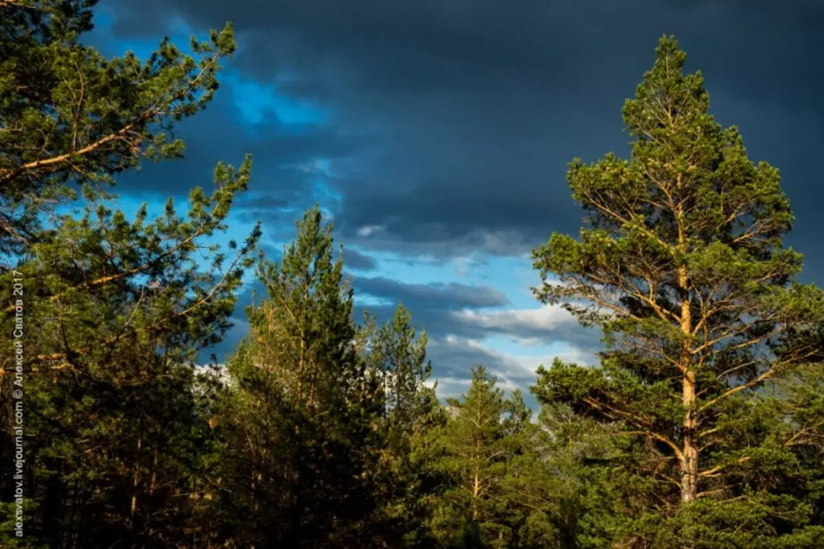 Alla, buryatia - ib qho chaw kho tus ntsuj plig thiab lub cev! Tus tub yees duab Shaftov Alcewsey 7756_6