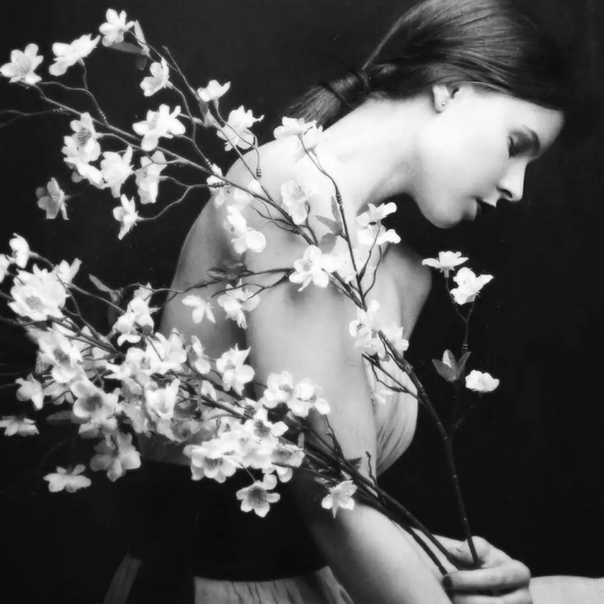 Dizive Chaos of Feeleens yn 'e lens Josephin Cardin (Josephine Cardin) 7774_12