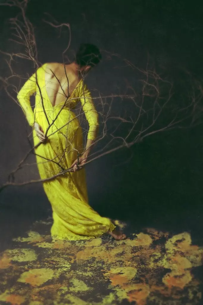 Dizhive Chaos vu Gefiller an der Lëns Josephin Cardin (Josephine Cardin) 7774_22