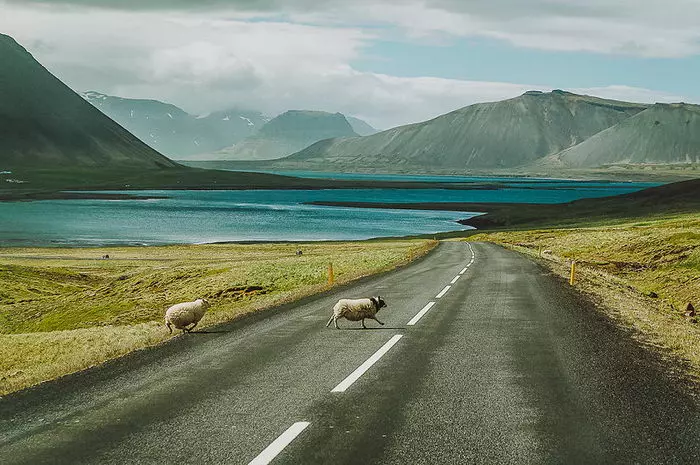 Elegante Straßen von Island in den Fotos von Mikhalin Okreglicka (Michalina Okreglicka)
