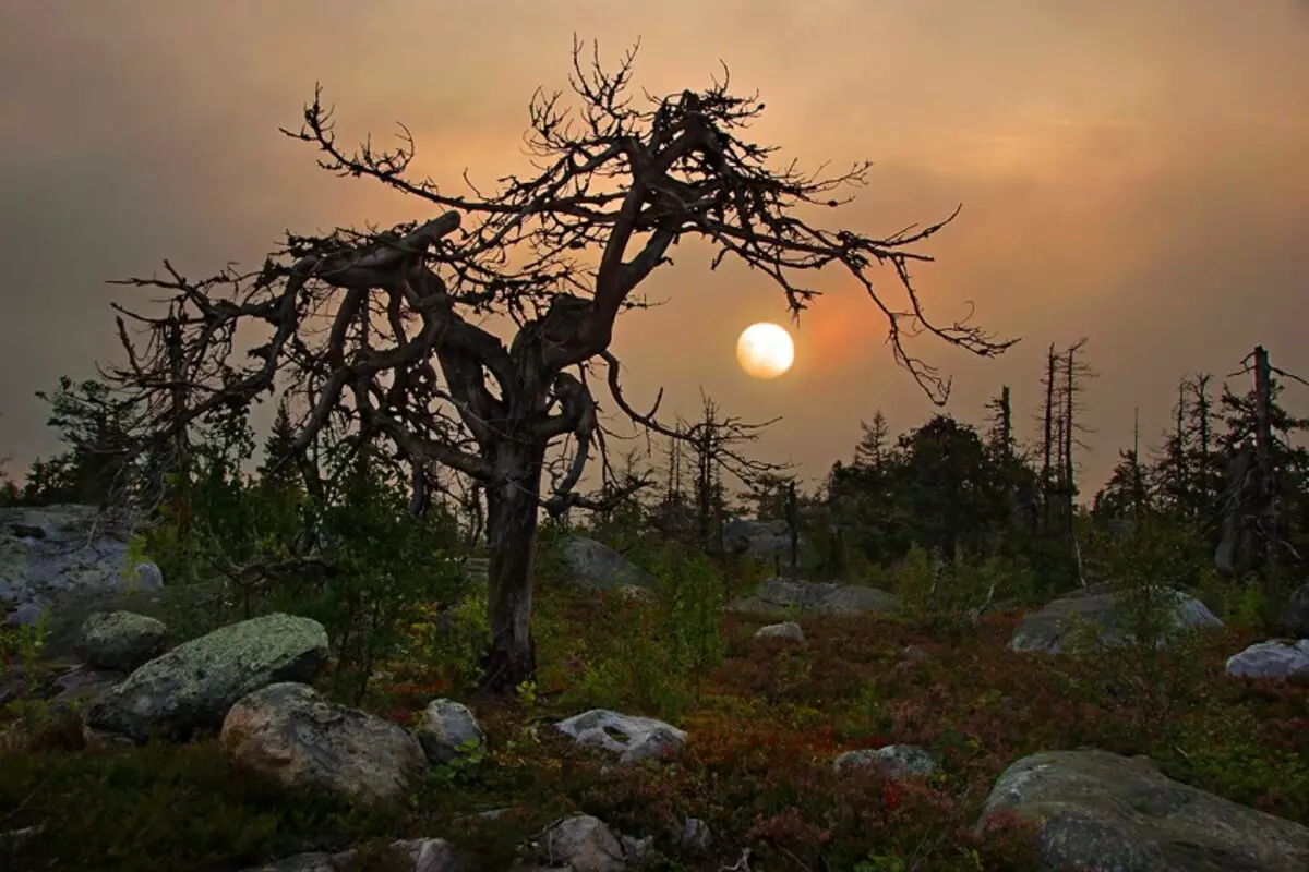 Güç Yeri - Vottovaara Dağı! Peter Kosy fotoğrafları 7842_1