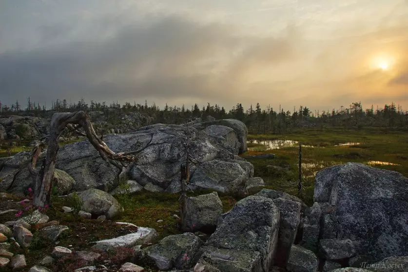 Power Place - Mount Vottovaara! Foto di Peter Kosy 7842_15