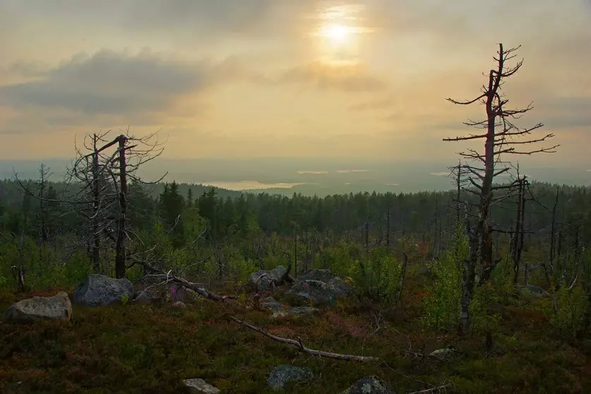 Power Place - Mount Vottovaara! Foto di Peter Kosy 7842_24