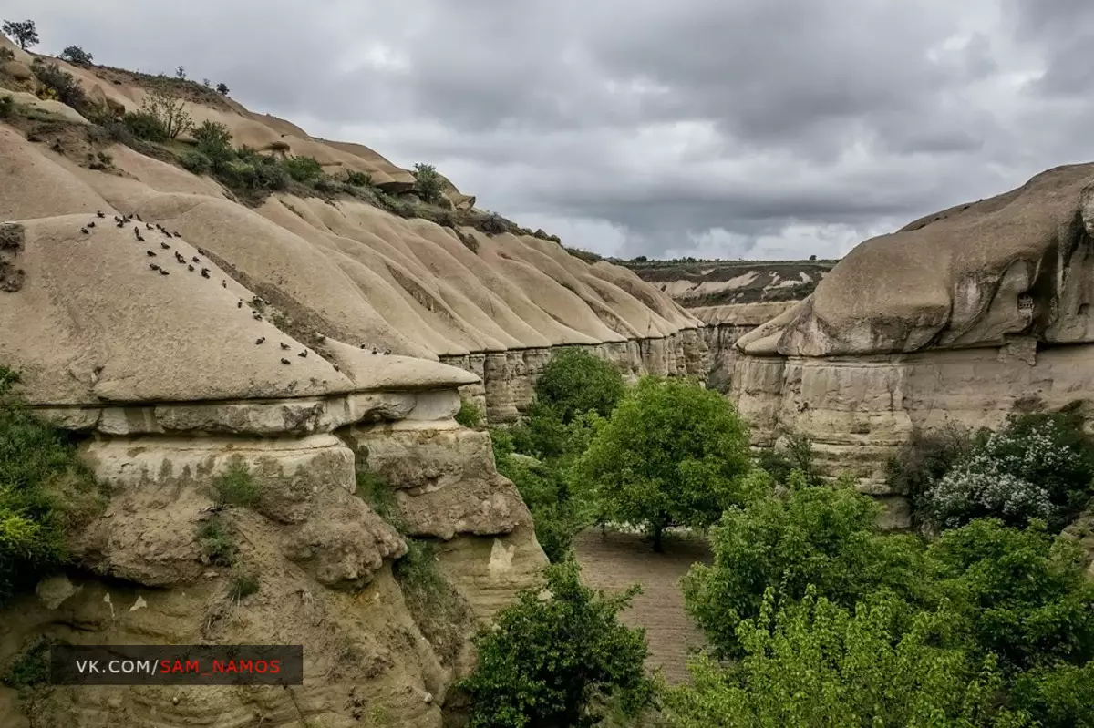 ڪبوتر وادي وادي (ڪبوتر وادي)