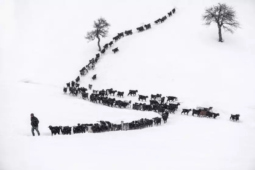 Najbolje fotografije National Geographic May 2017 7964_28