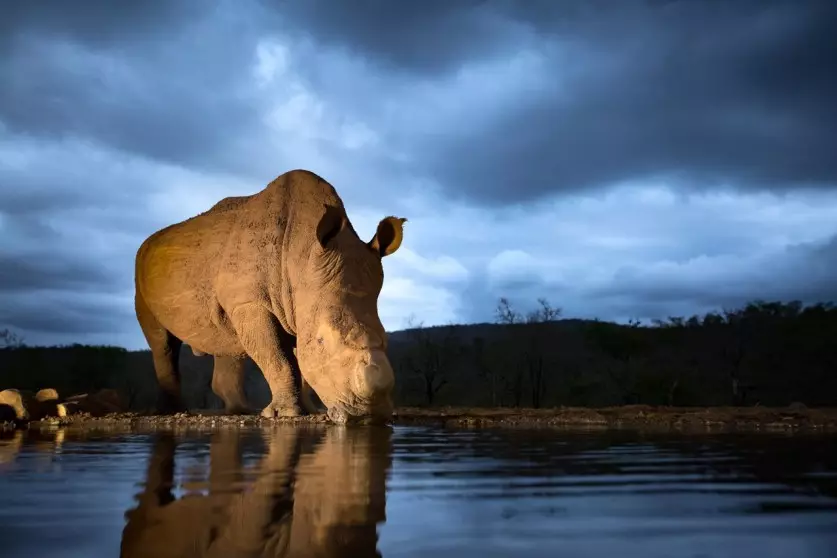 Najbolje fotografije National Geographic May 2017 7964_8