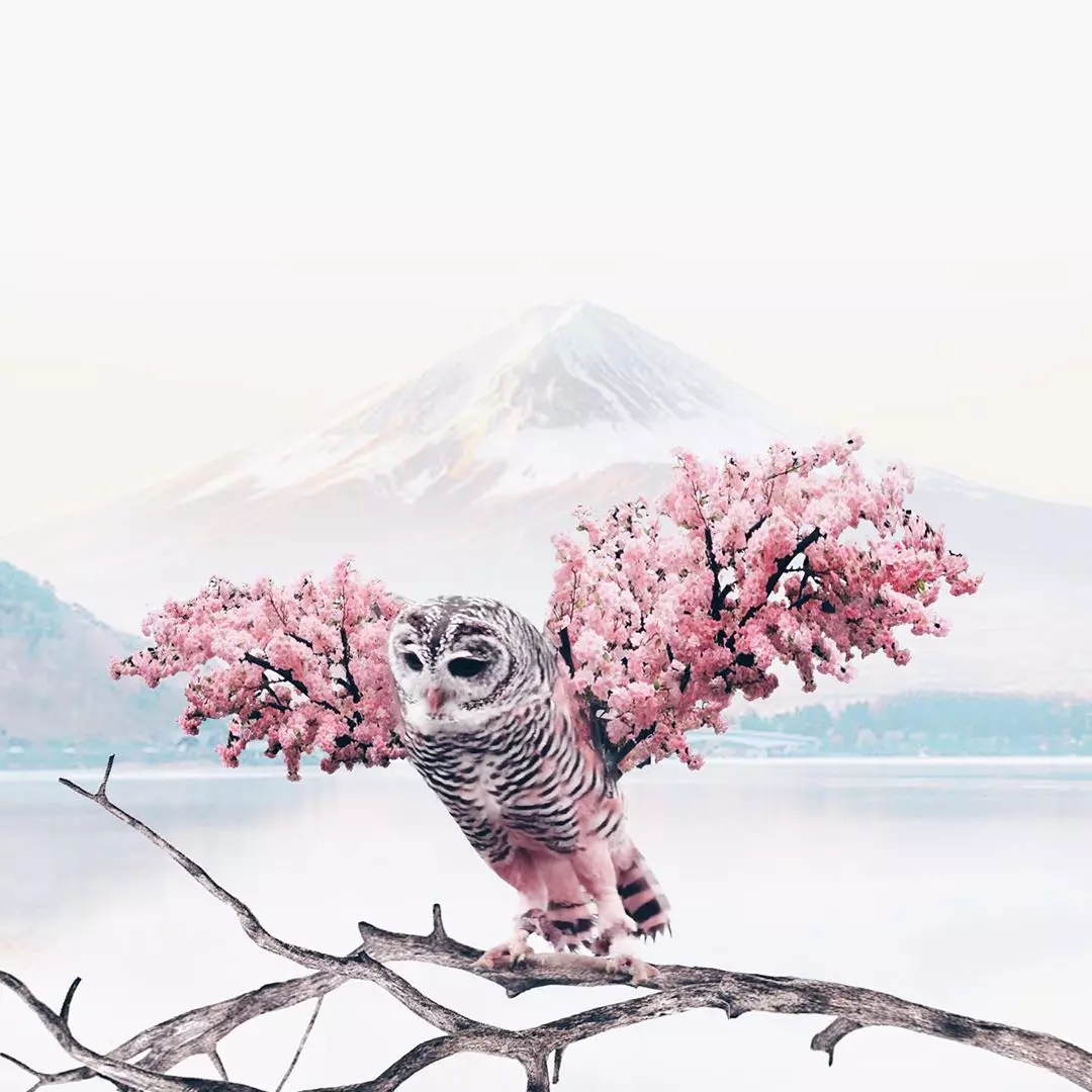 Wodabwitsa Photomaniption Louise Azevemo 7_14