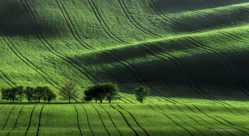 Bella natura del forno sud nella Repubblica Ceca nelle foto di Anita Demianowicz 8000_1