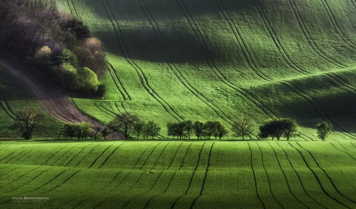 Bella natura del forno sud nella Repubblica Ceca nelle foto di Anita Demianowicz 8000_3