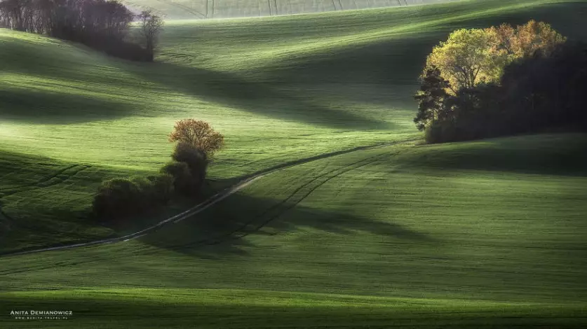 Bella natura del forno sud nella Repubblica Ceca nelle foto di Anita Demianowicz 8000_6