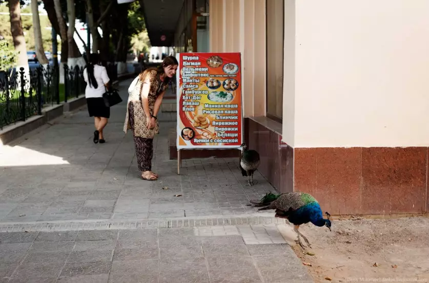 Samarkand - Obodo ndị njem njem nke Uzbekistan na foto nke Denus Mukimova 8002_31