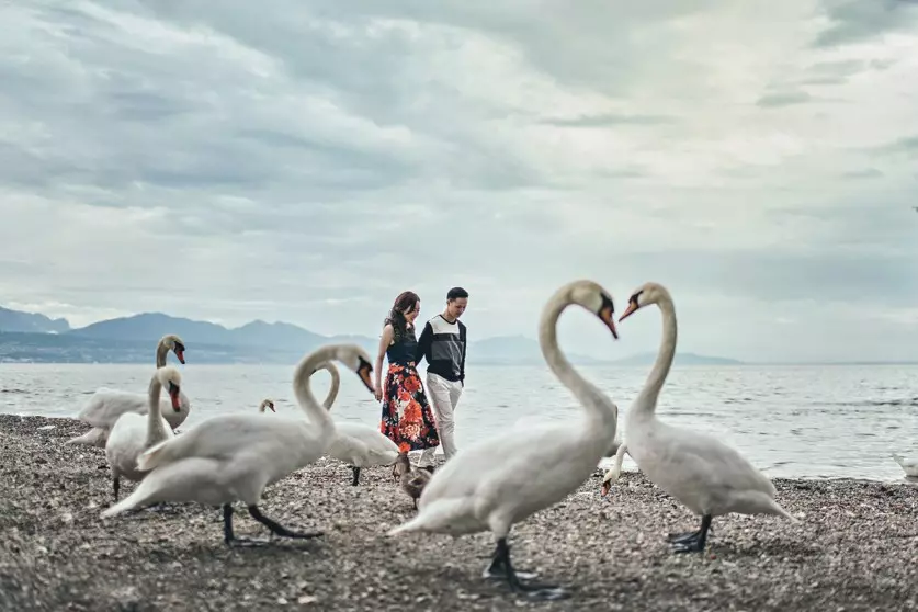 Romance, tandrès, kontantman ... Gayan Foto Konkou maryaj Fotografi Jained Weddings 2017 8006_1