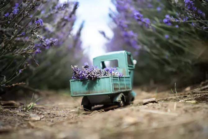 Kim Leuenberger เครื่องเดินทาง (Kim Leuenberger) 8079_2