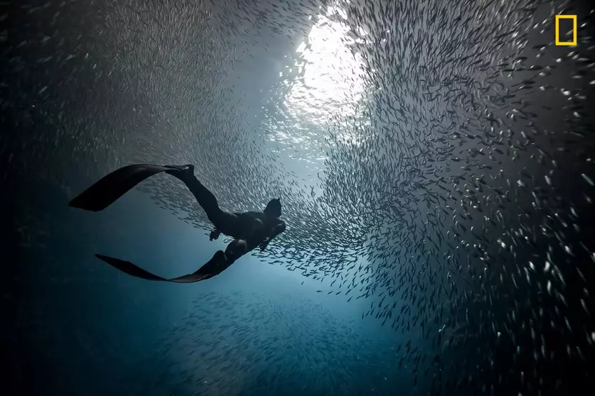 Zanimive fotografije National Geographic Potovalni fotograf 2017 8135_6